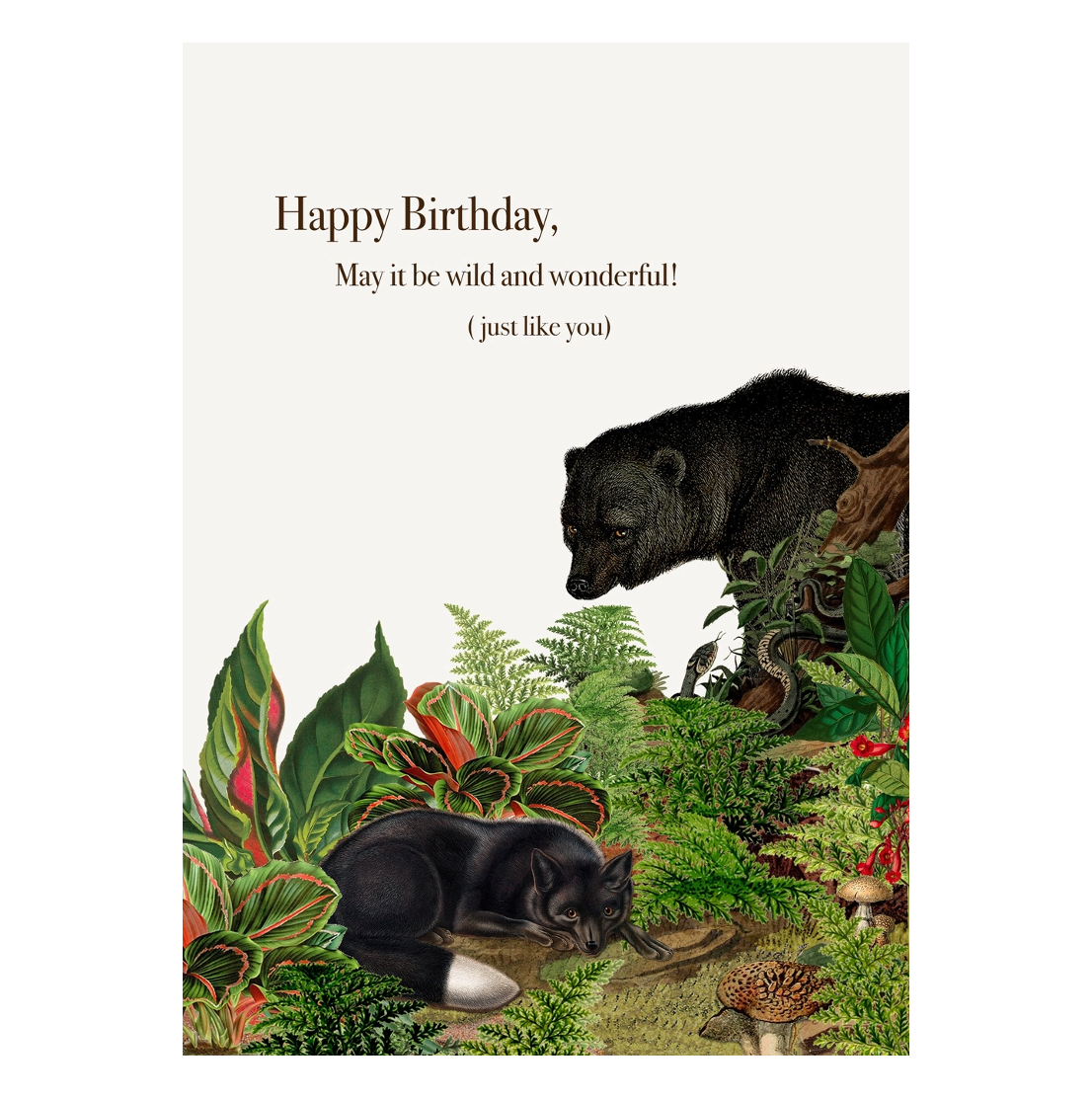 Happy Birthday May It Be Wild And Wonderful Card – Jacaranda Tree & Co