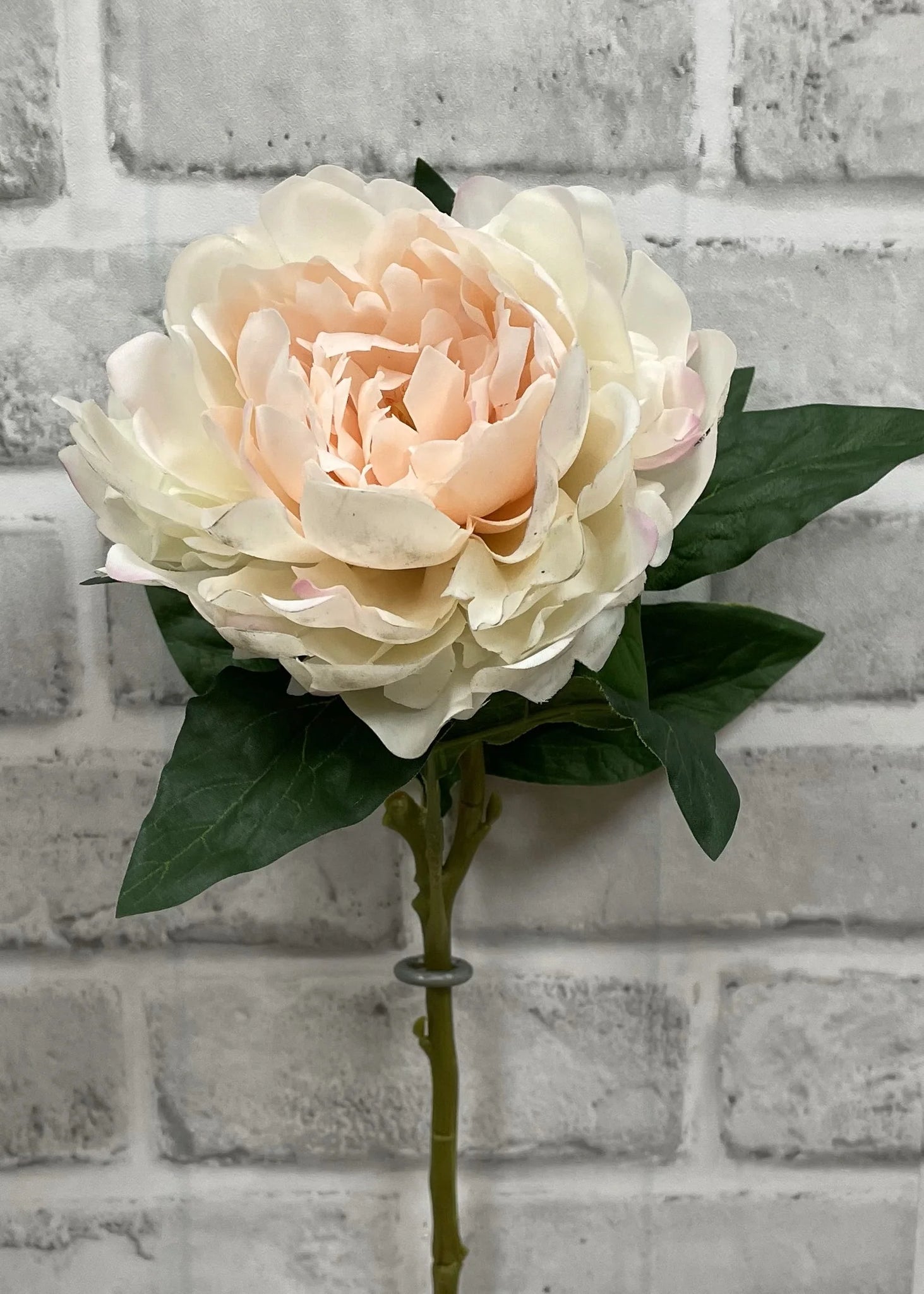 Blush Peony Stem 23" – Jacaranda Tree & Co