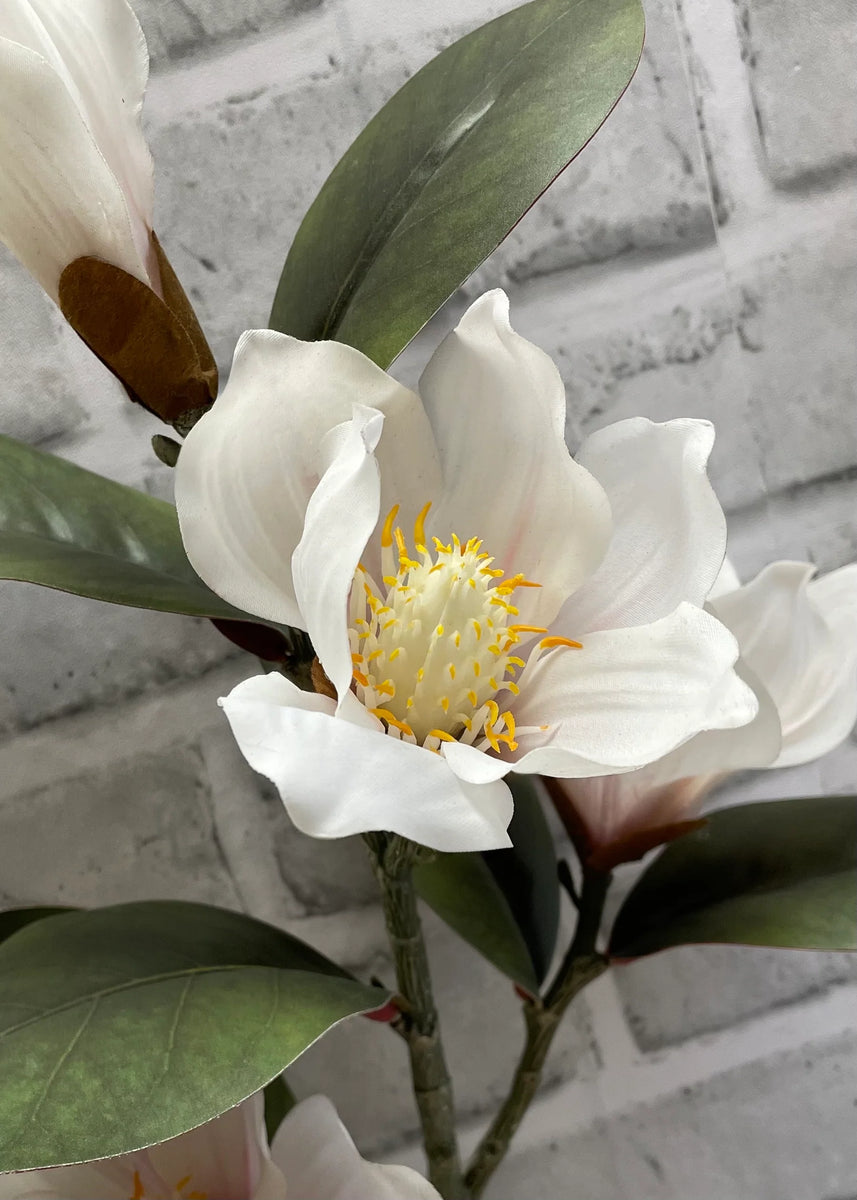 White Magnolia Spray 26" – Jacaranda Tree & Co
