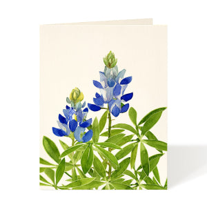 Bluebonnet Card – Jacaranda Tree & Co