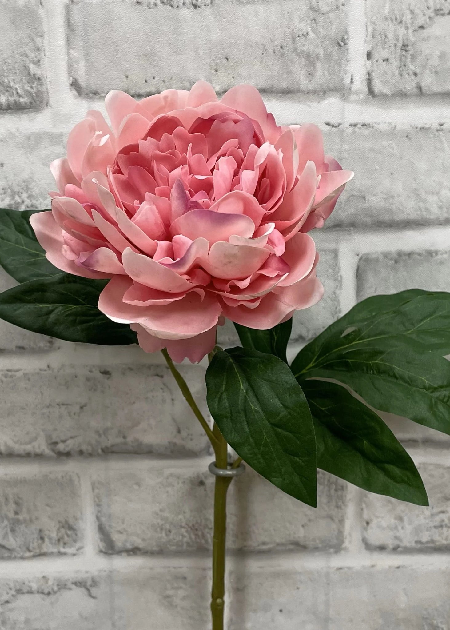 Pink Peony Stem 23" – Jacaranda Tree & Co