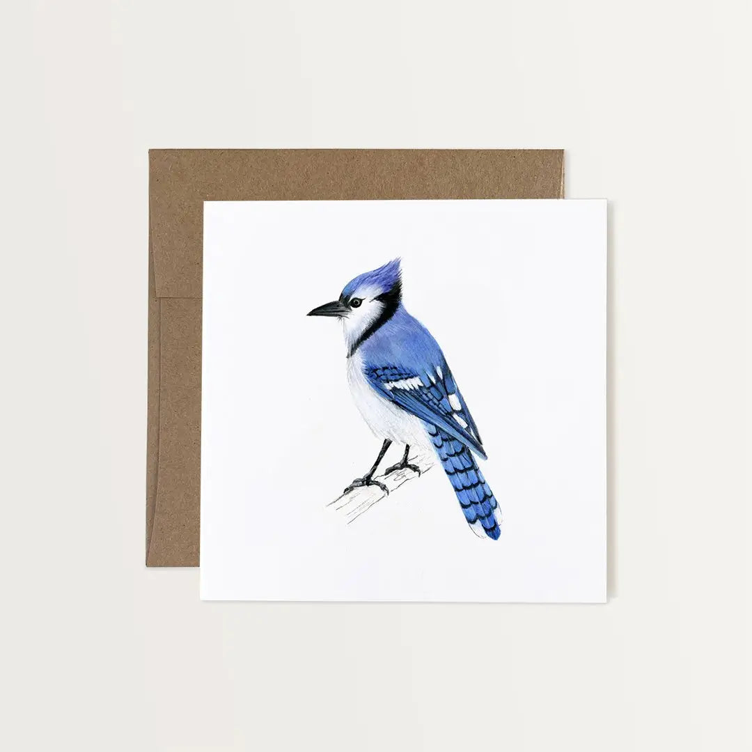 Blue Jay Card – Jacaranda Tree & Co