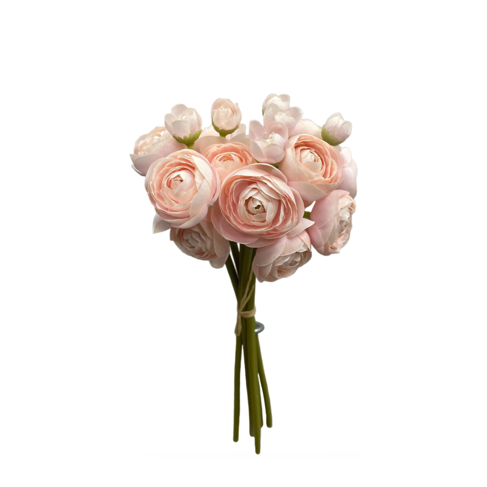 Blush Ranunculus Bundle 11" – Jacaranda Tree & Co