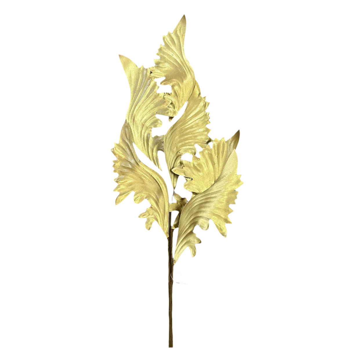 Gold Leaf Stem – Jacaranda Tree & Co