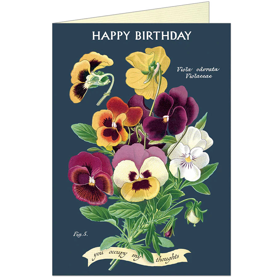 Happy Birthday Violet Card – Jacaranda Tree & Co