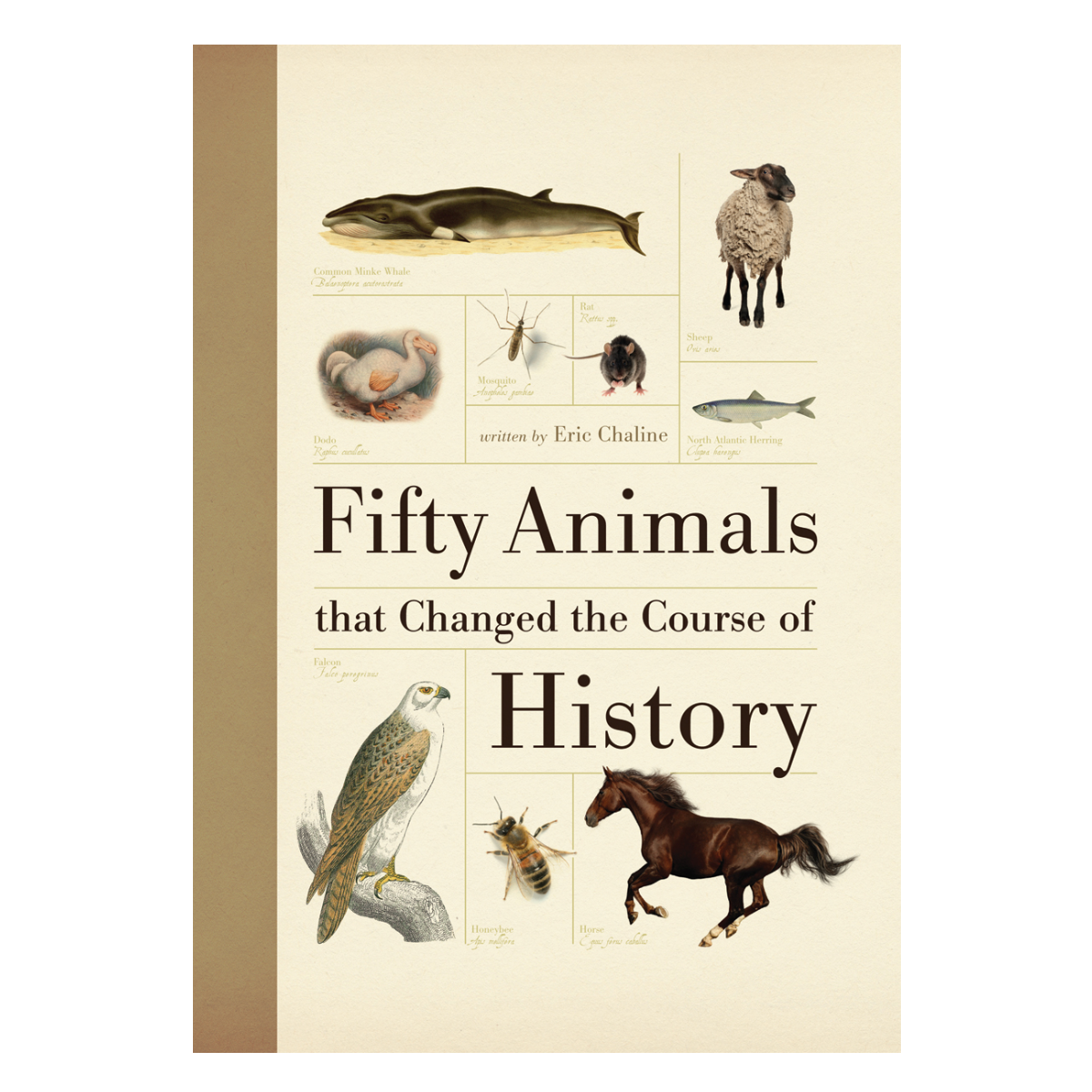 Fifty Animals That Changed The Course of History – Jacaranda Tree & Co