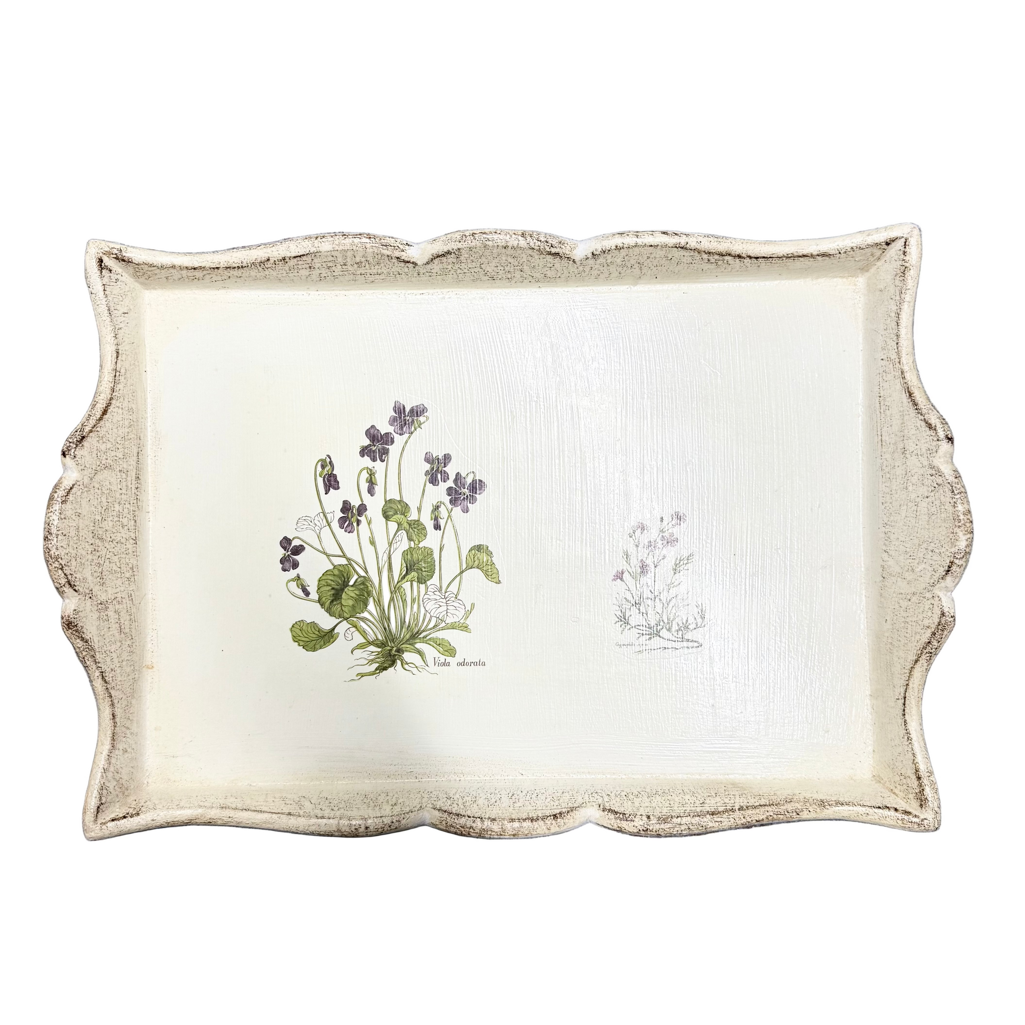 Vintage Cream Viola Tray – Jacaranda Tree & Co