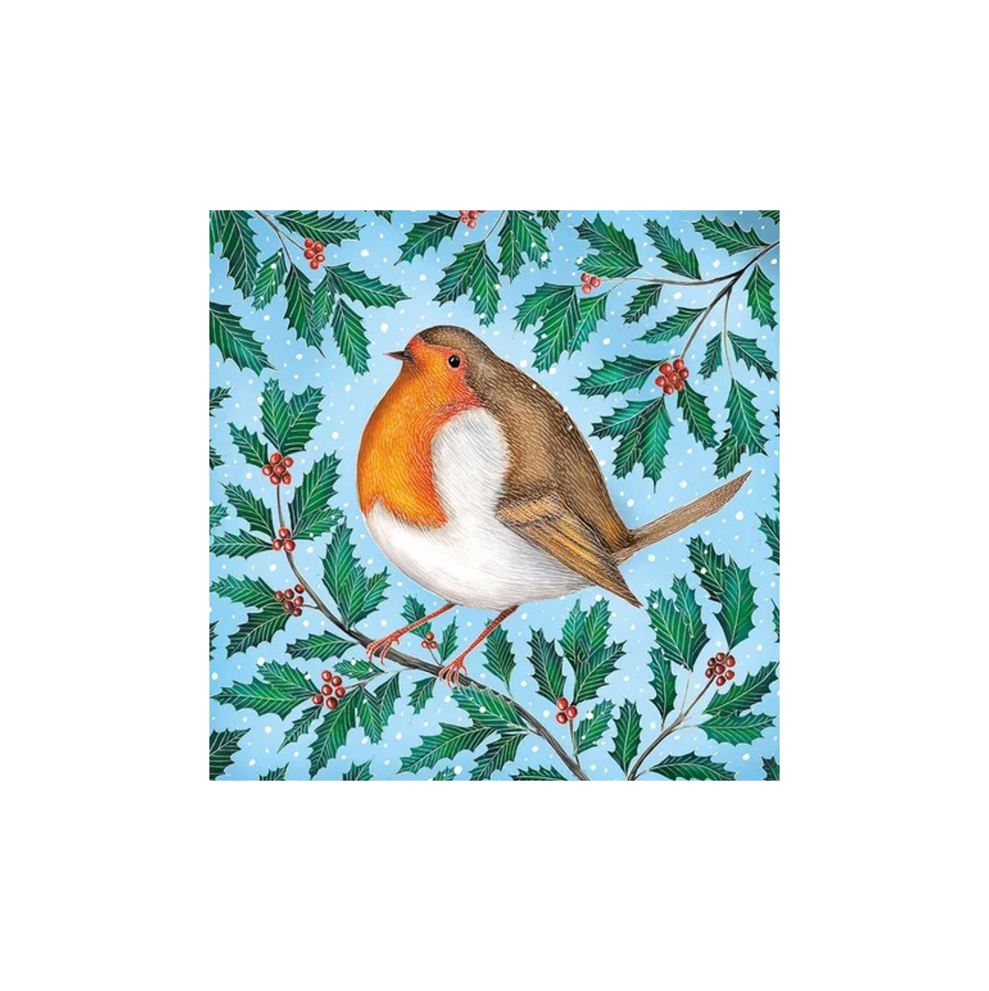 Museums & Galleries Mister Robin Card – Jacaranda Tree & Co