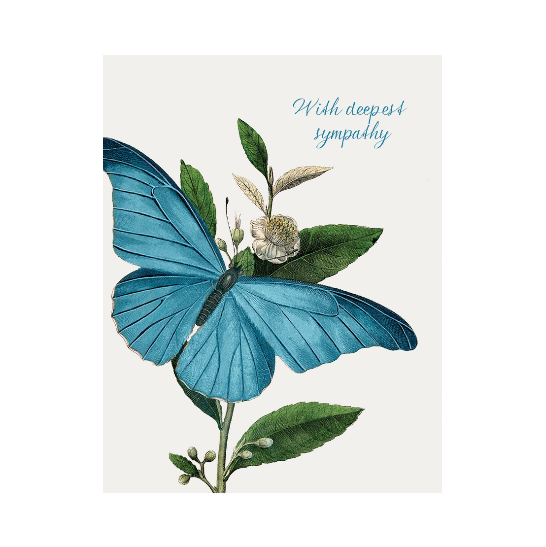 With Deepest Sympathy Card – Jacaranda Tree & Co