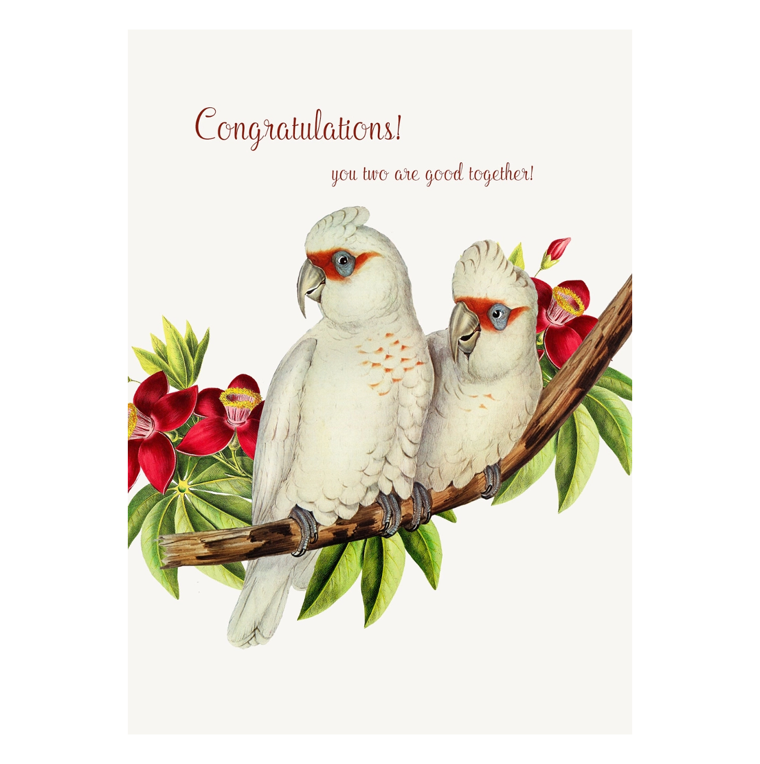 Congratulations! You Two Are Good Together Card – Jacaranda Tree & Co