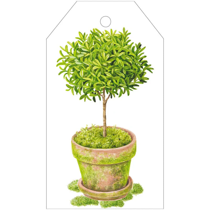 Potted Topiary Gift Tags – Jacaranda Tree & Co