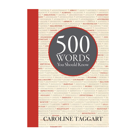 500 Words You Should Know Book – Jacaranda Tree & Co