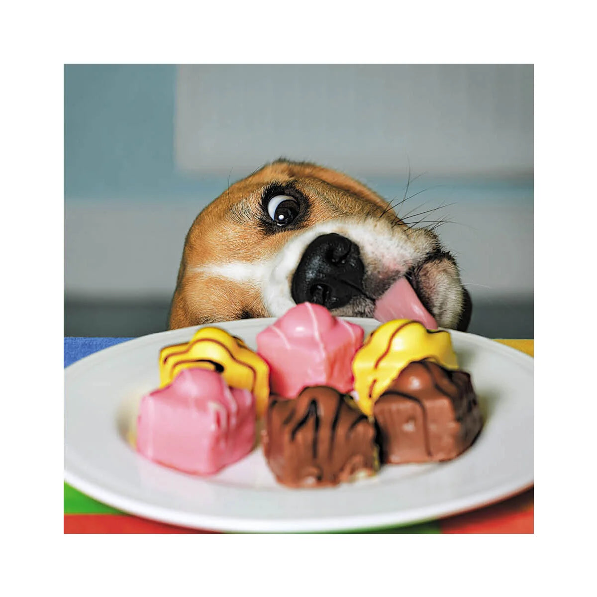 Sweet Tooth Card – Jacaranda Tree & Co